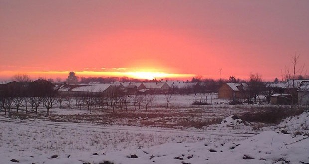 Lovćenac usred Bačke ravnice